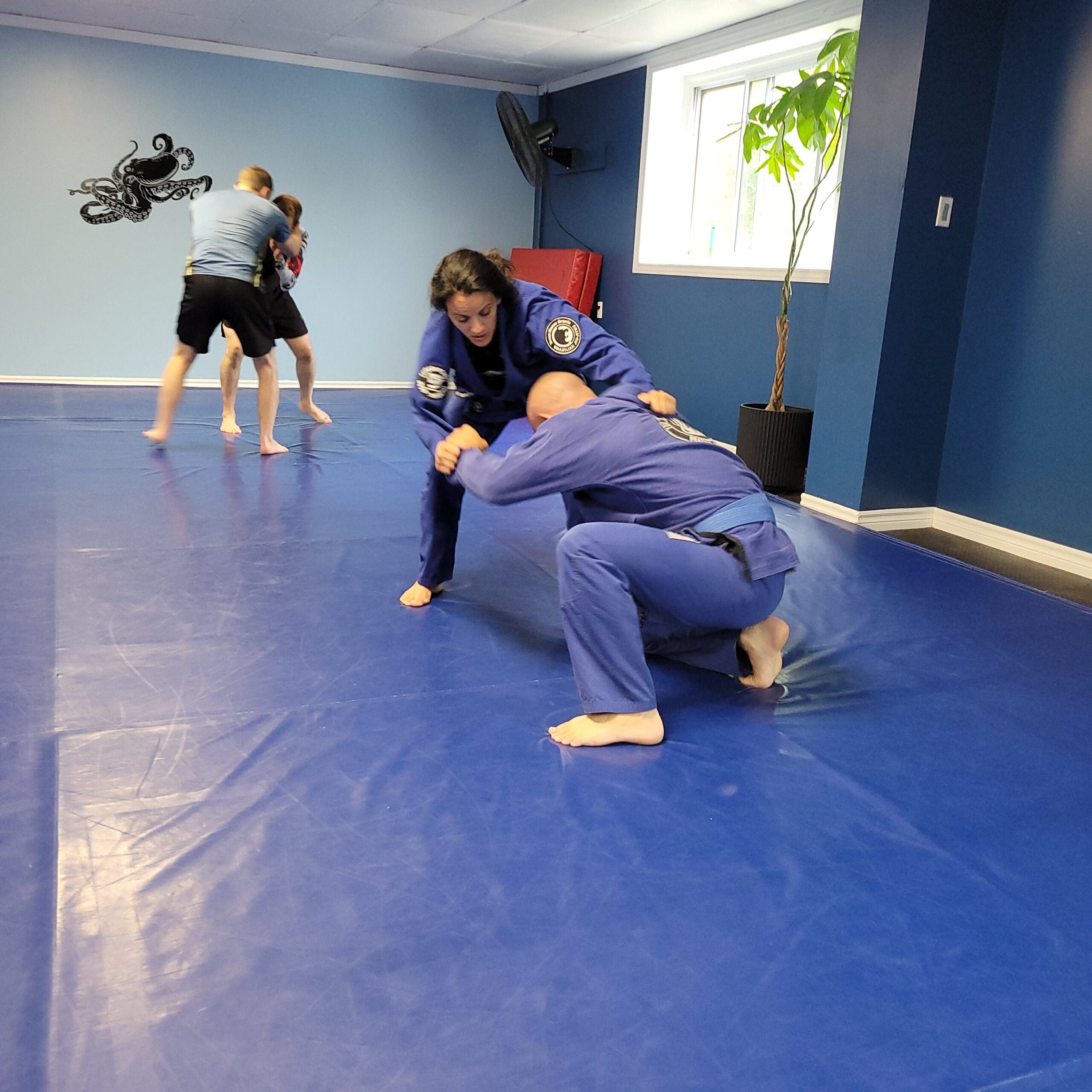 Discover Adult Brazilian Jiu-Jitsu in London ON!